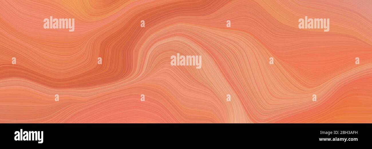 creative elegant graphic with salmon, light salmon and coffee color ...