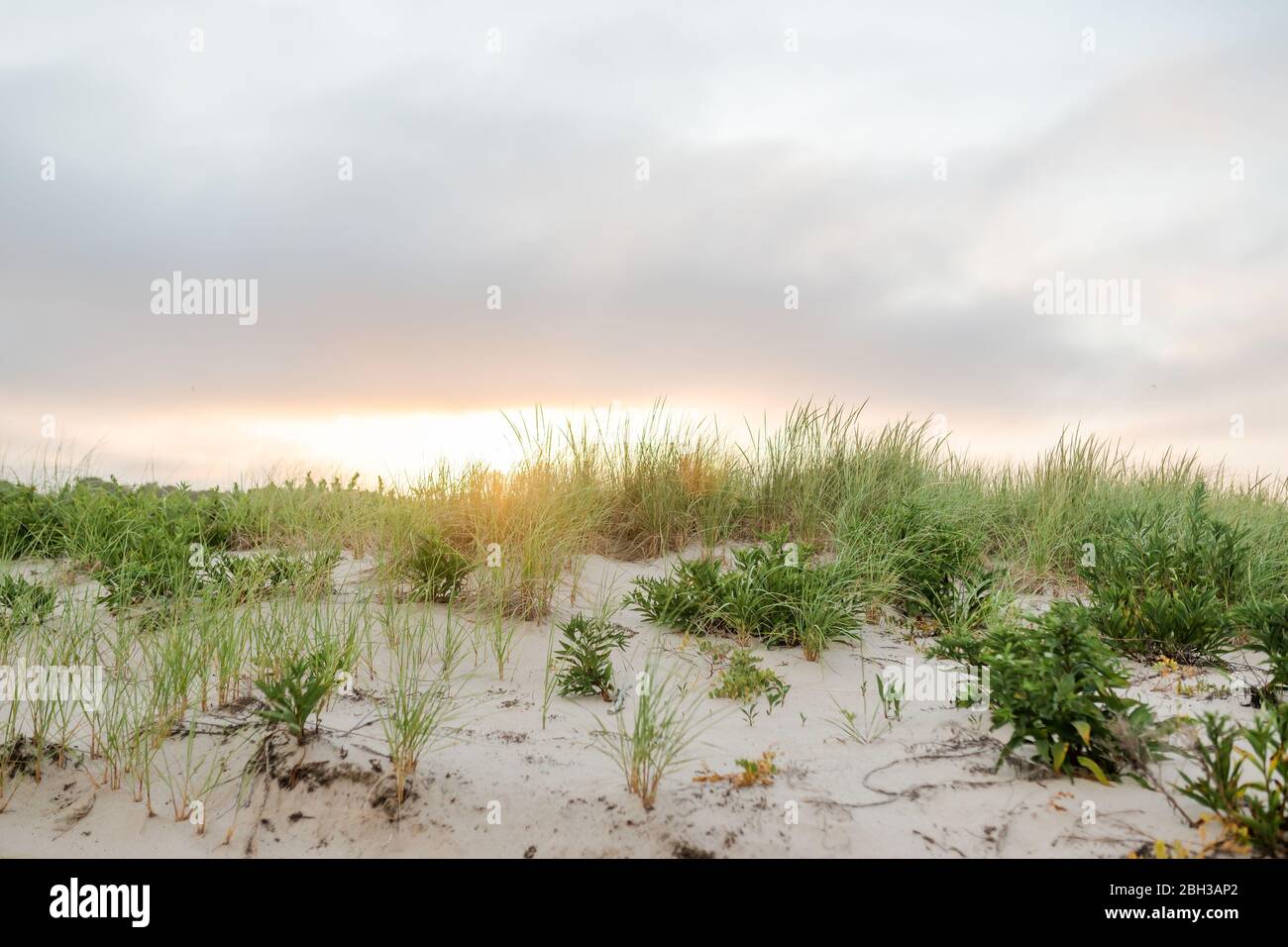 Peaceful and Calm Sunset over beach sand dunes Stock Photo - Alamy