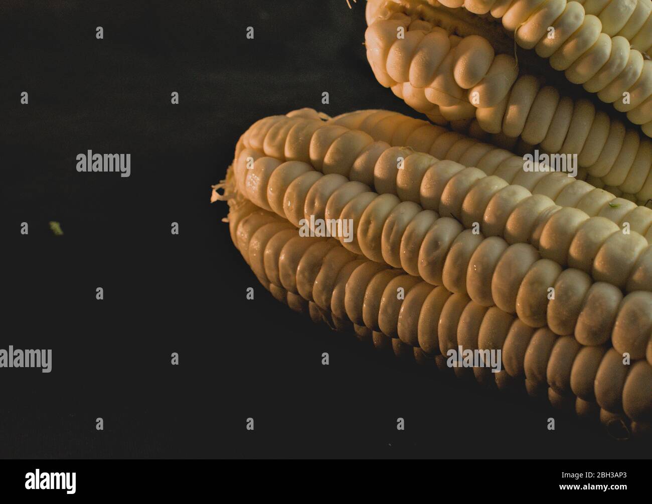 still life corn in dark Stock Photo - Alamy