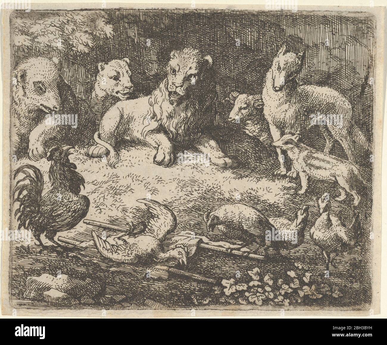 The Rooster Accuses Renard of the Murder of One of His Chickens from ...