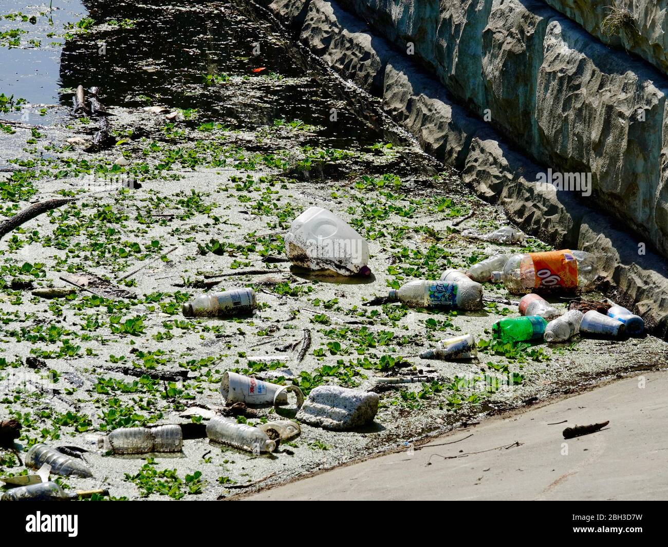 Plastic bottles litter hi-res stock photography and images - Alamy