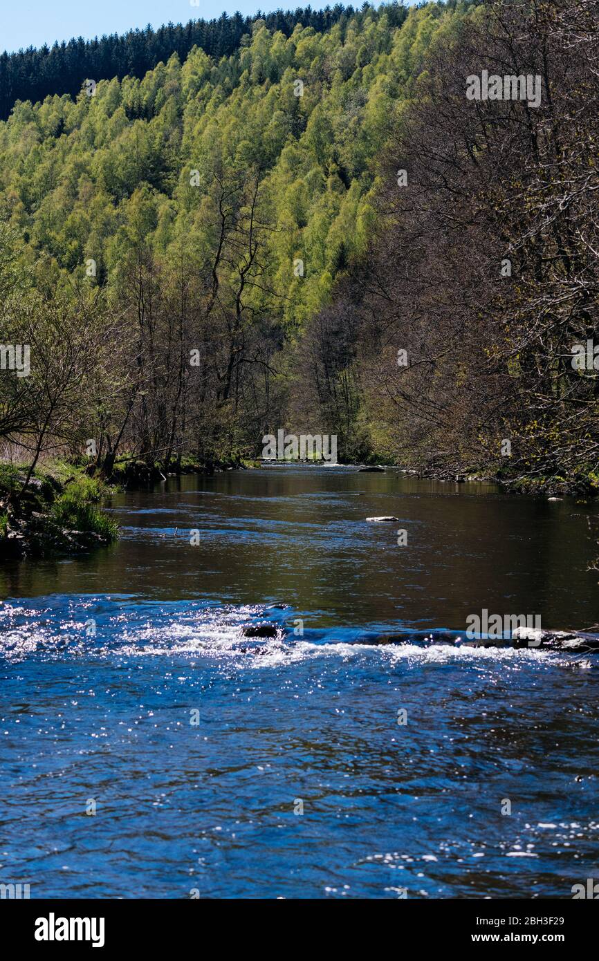 Ardennes horses hi-res stock photography and images - Alamy