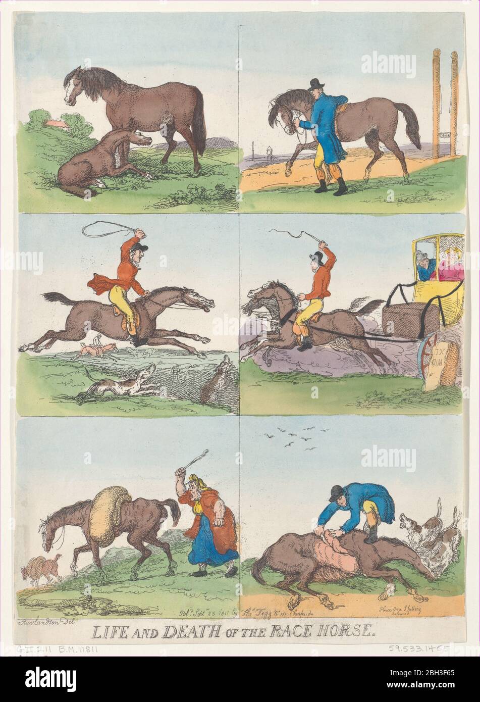 Dead racehorse hi-res stock photography and images - Alamy