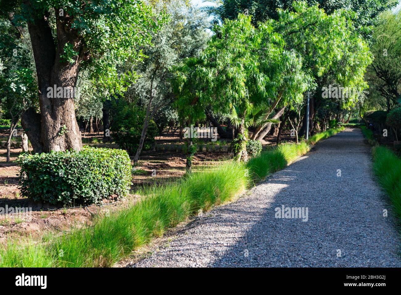 Shaded walkway hi-res stock photography and images - Alamy