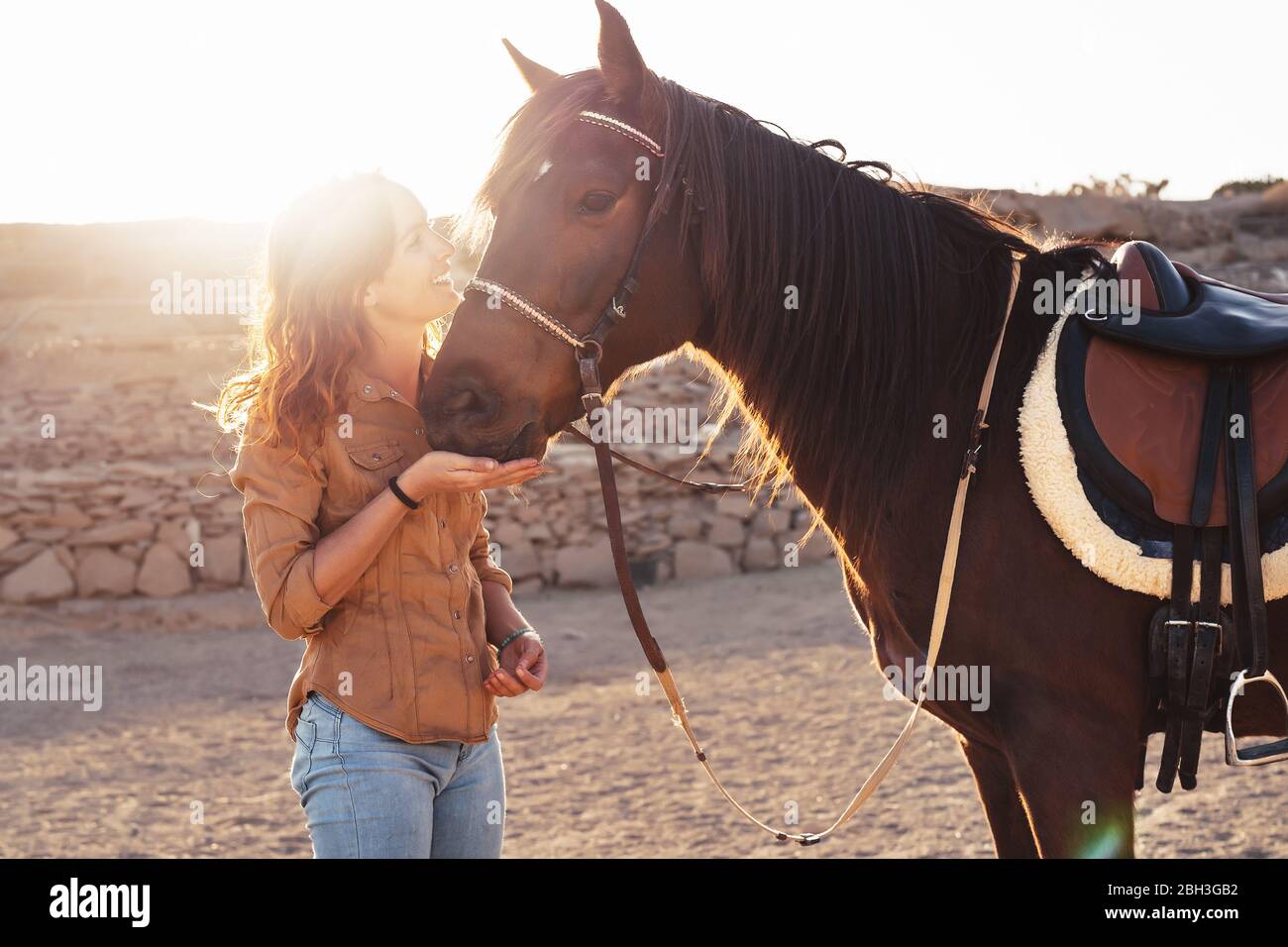 Young farmer having fun with horses inside stable - Happy girl playing ...