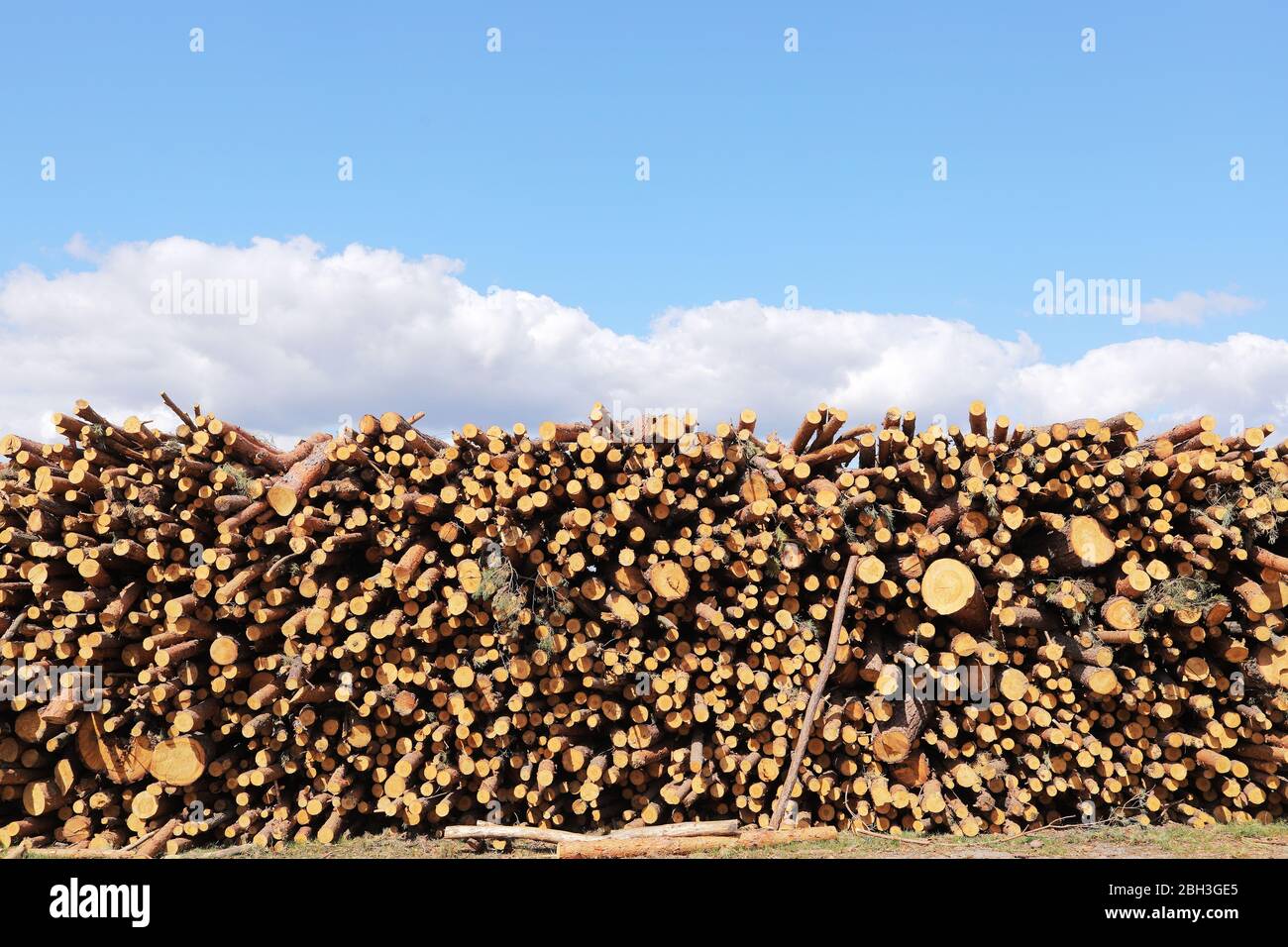 Deforestation in bolivia hi-res stock photography and images - Alamy