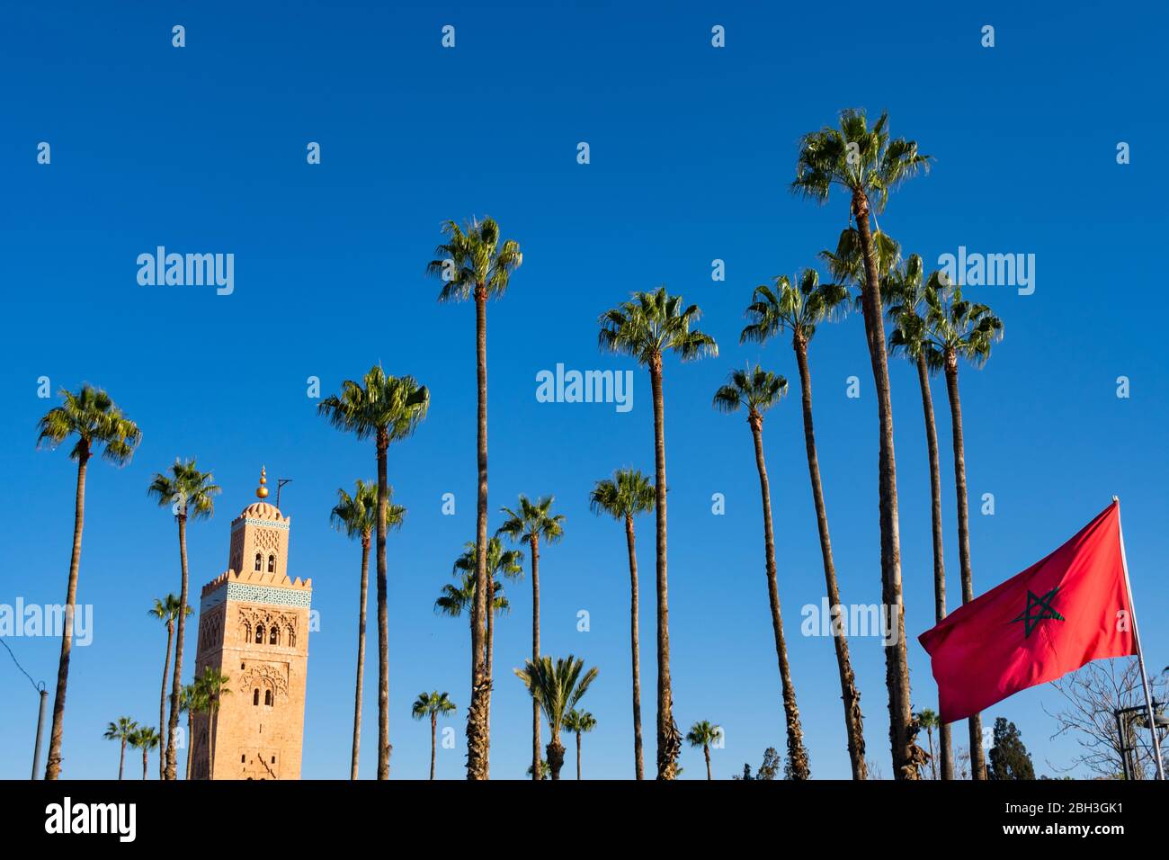Palm trees in morocco hi-res stock photography and images - Alamy