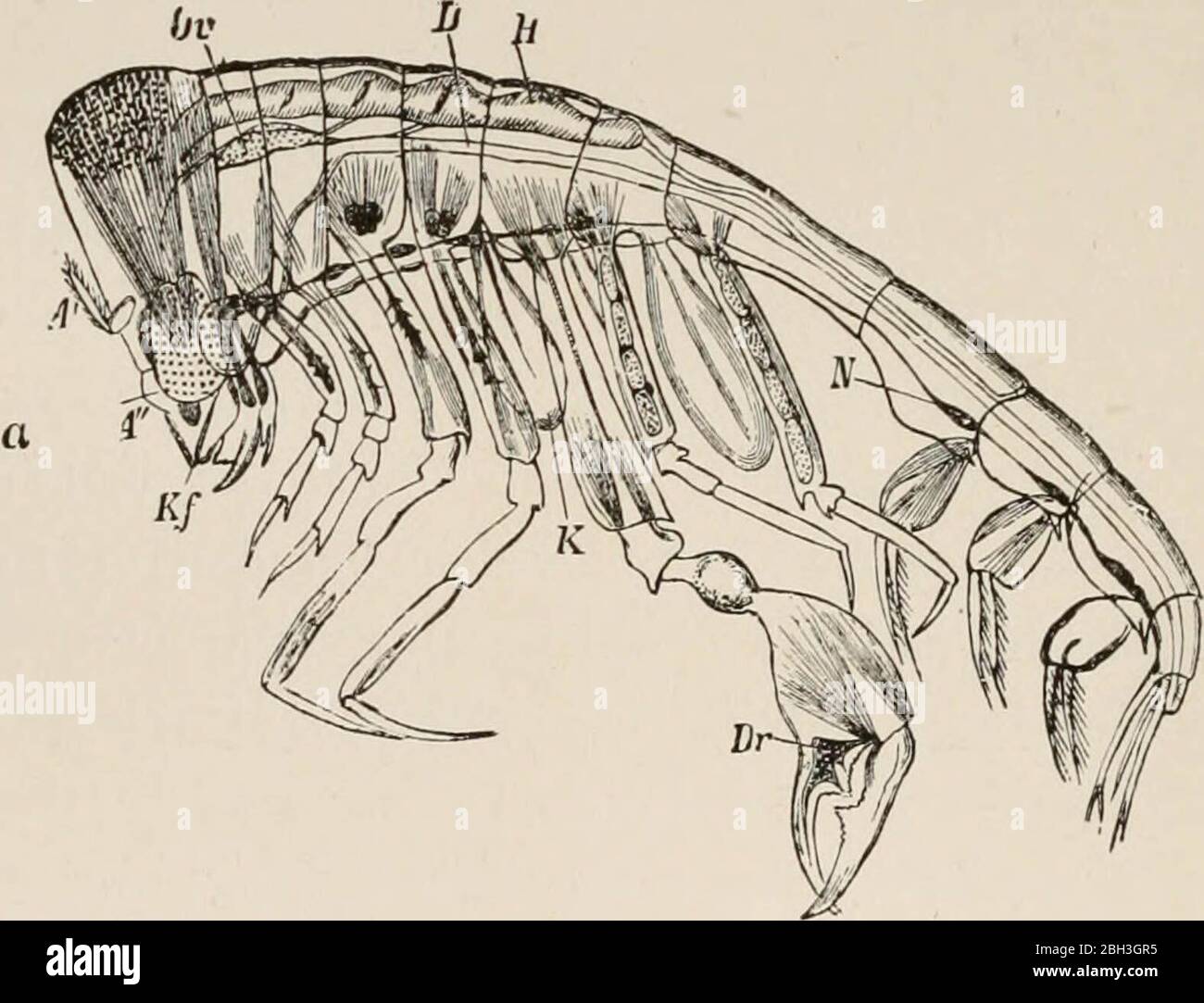 Educational theories hi-res stock photography and images - Alamy