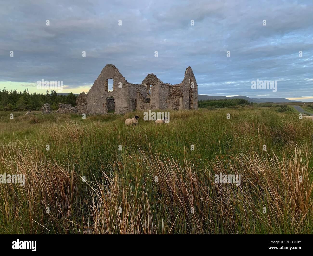 irish ruins and abandoned houses Stock Photo - Alamy