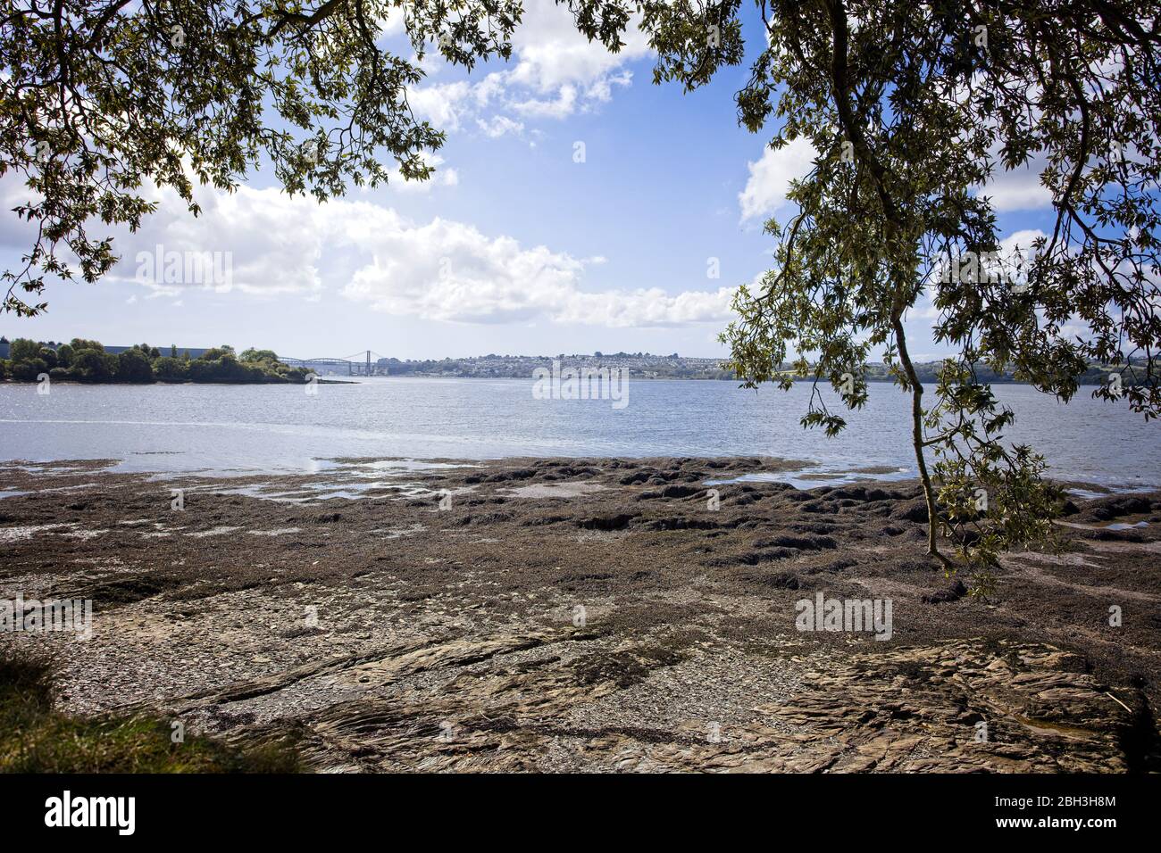 View down the Tamar Estuary from Warleigh Point, Devon, England UK ...