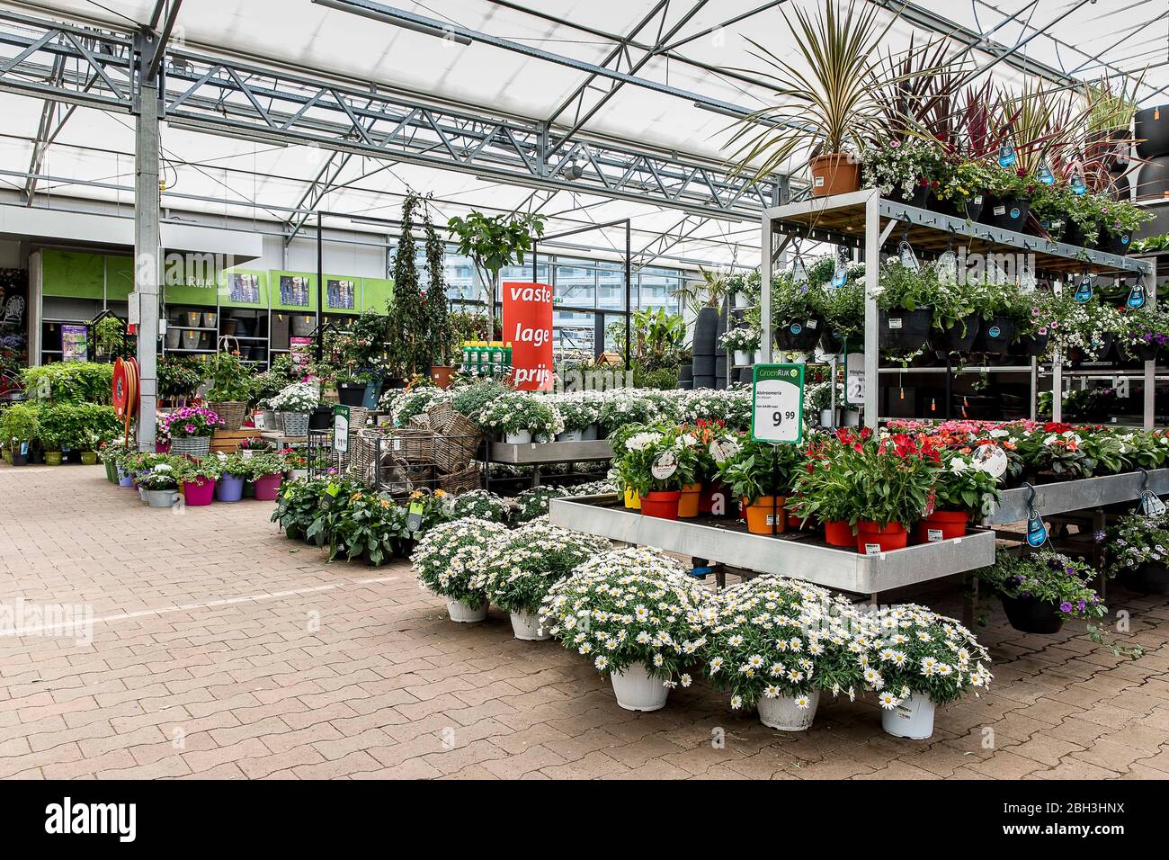 Tuincentrum hi-res stock photography and images - Alamy