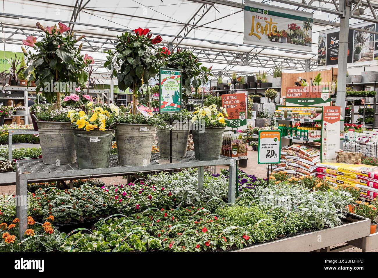 TILBURG - 23-04-2020, Garden centre Groenrijk, interior. Flowers and ...