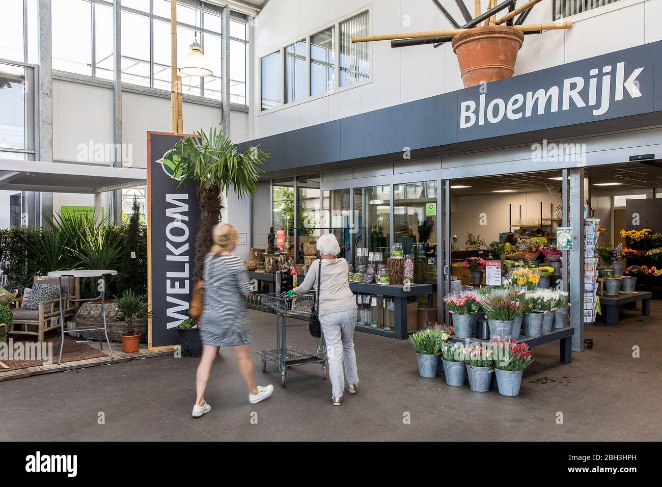 TILBURG - 23-04-2020, Garden centre Groenrijk, interior. Flowers and ...