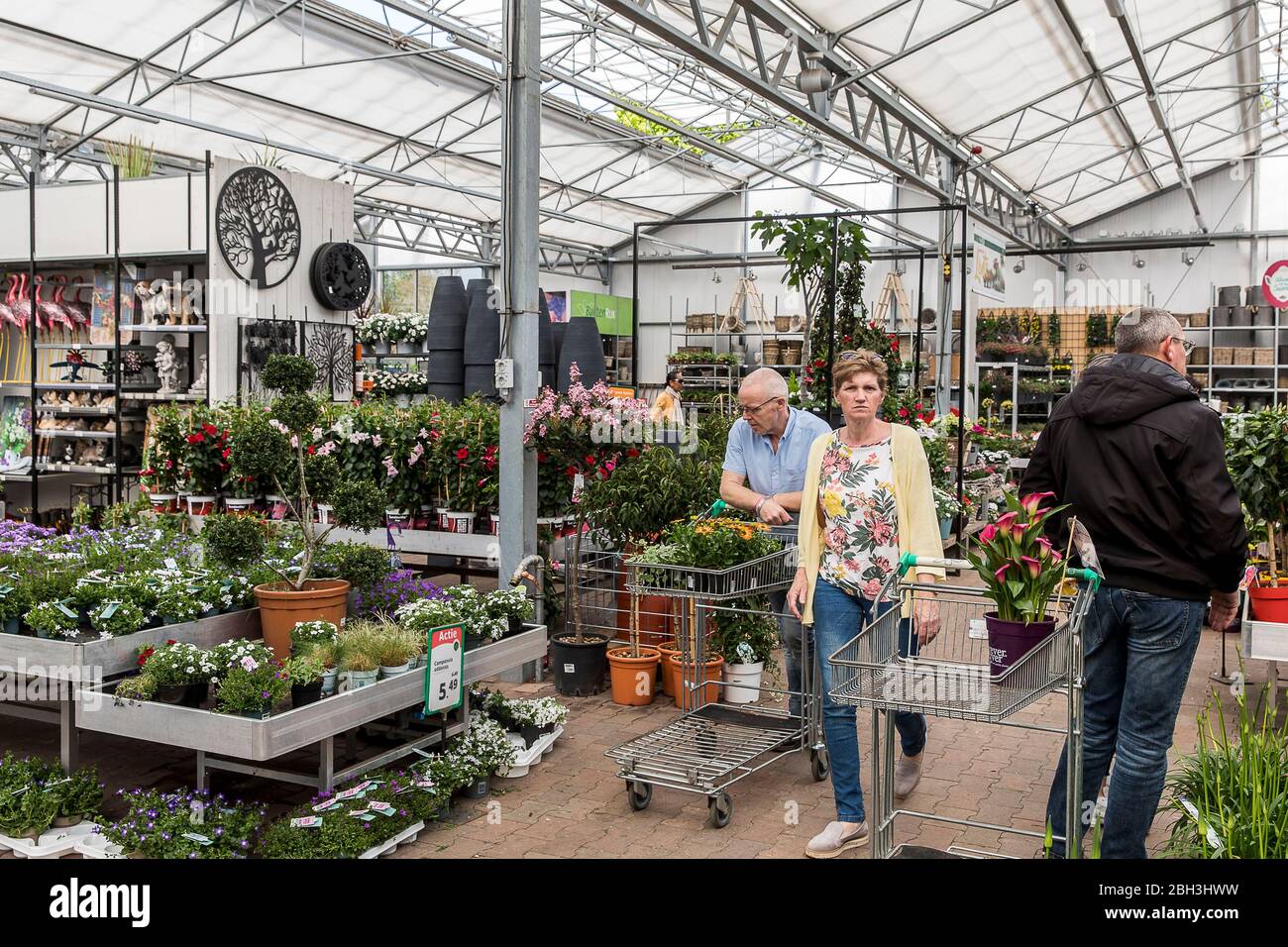 TILBURG - 23-04-2020, Garden centre Groenrijk, interior. Flowers and ...