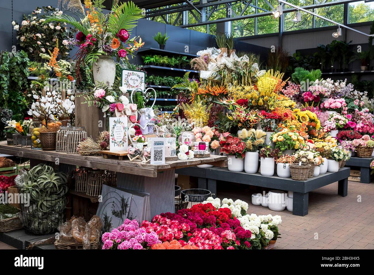 TILBURG - 23-04-2020, Garden centre Groenrijk, interior. Flowers and ...