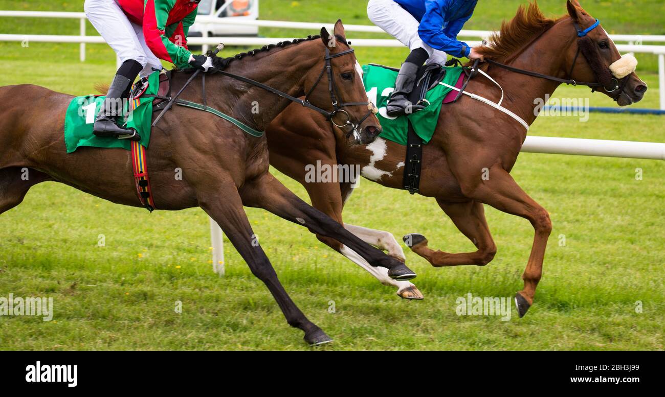 Close up on two race horses and jockeys competing for position on the ...