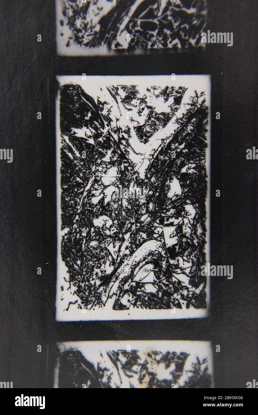 Fine 70s vintage extreme high contrast contact print photography of a ...