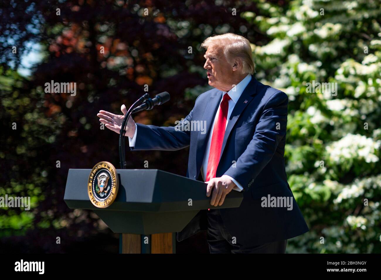 President tree planting hi-res stock photography and images - Alamy