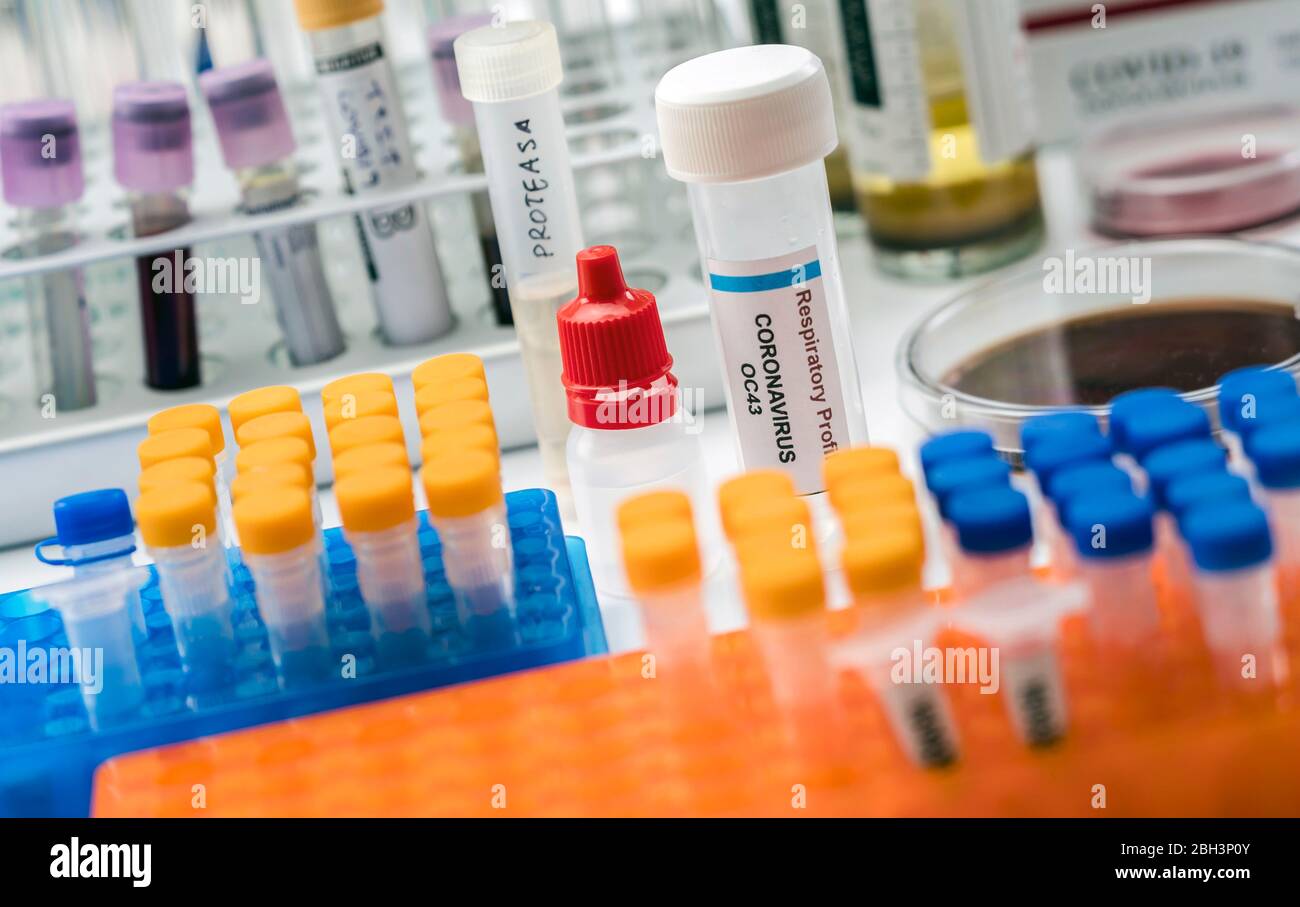 Human proteasome hi-res stock photography and images - Alamy