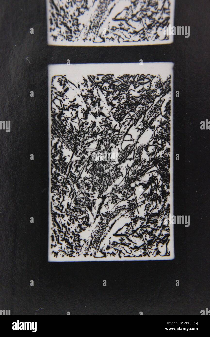 Fine 70s vintage extreme high contrast contact print photography of a ...