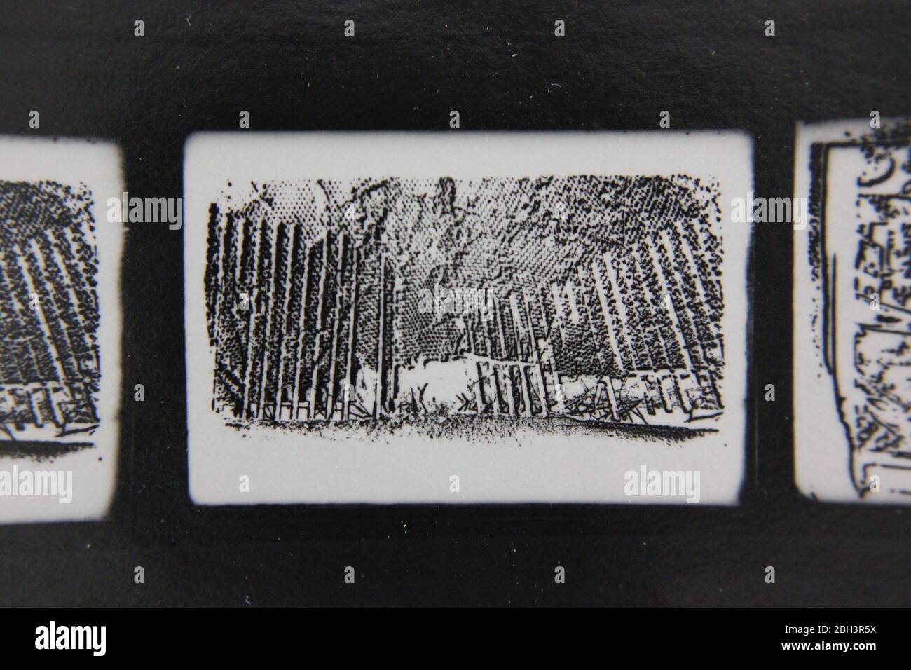 Fine 70s vintage extreme high contrast contact print photography of a ...