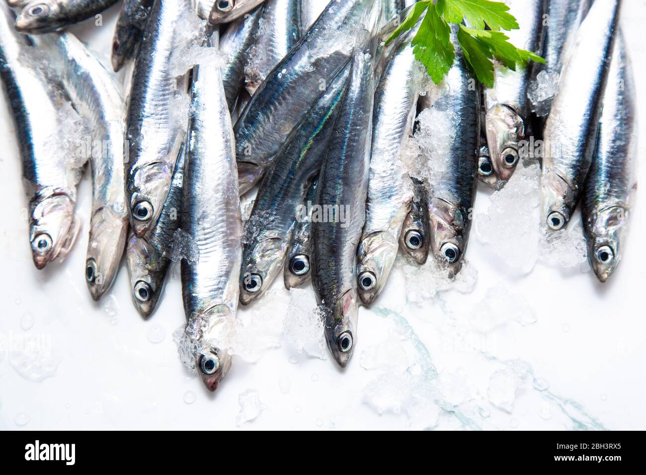 Fresh anchovies on a marble top hi-res stock photography and images - Alamy
