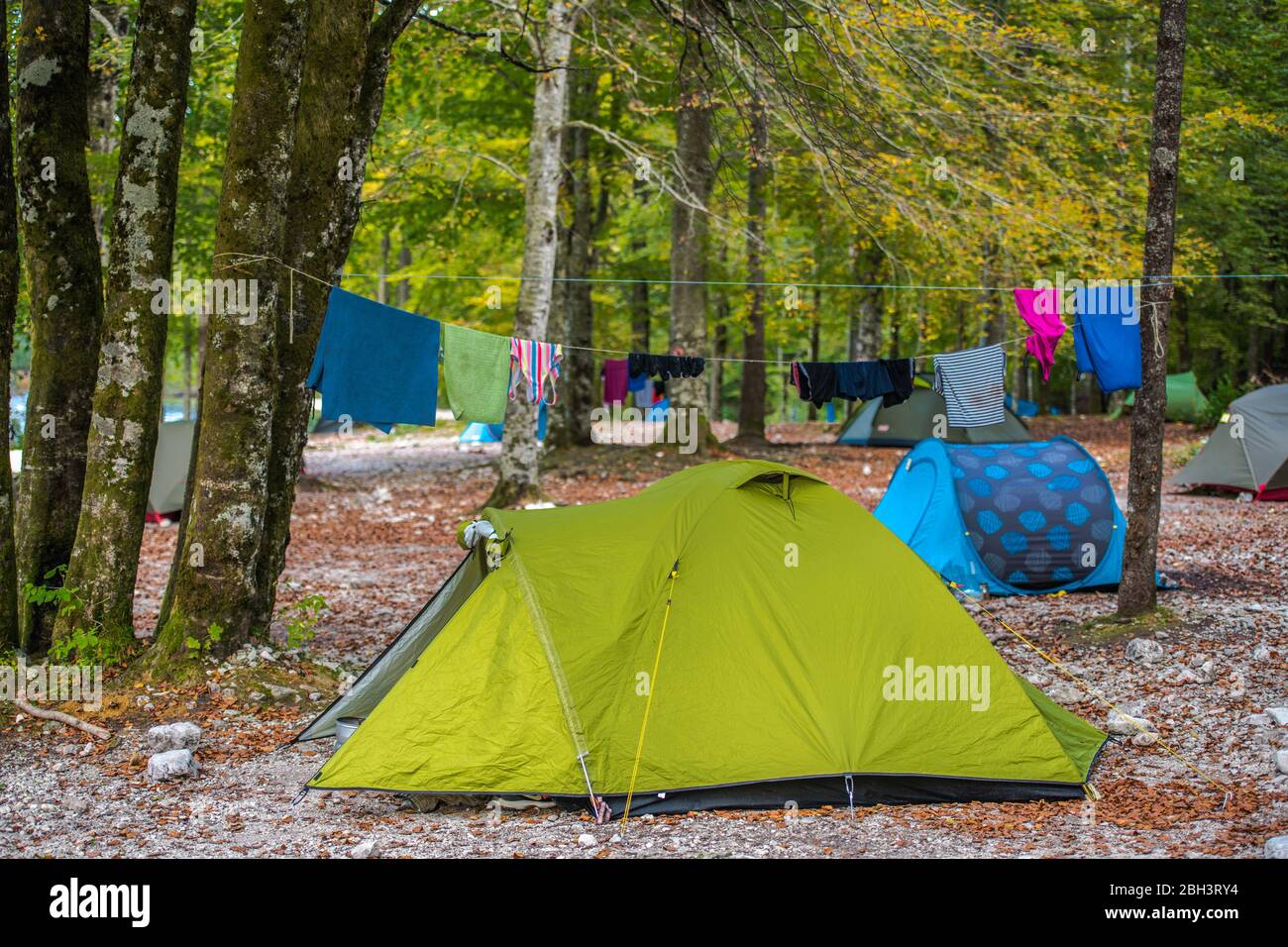 Summertime On Campground In Forest With Tents And Hanging Laundry Stock ...