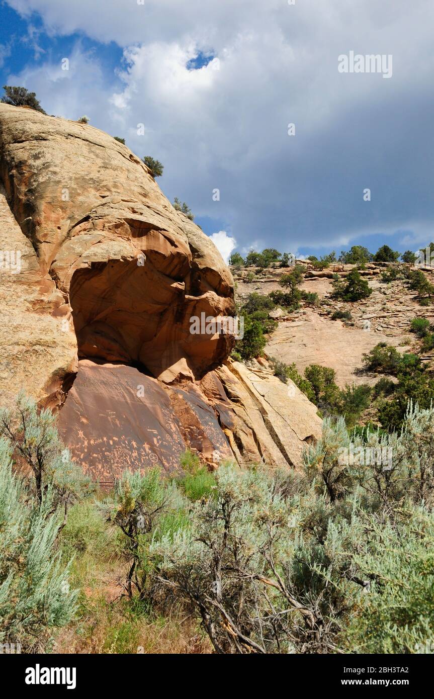 Utah canyonlands national park newspaper rock hi-res stock photography ...