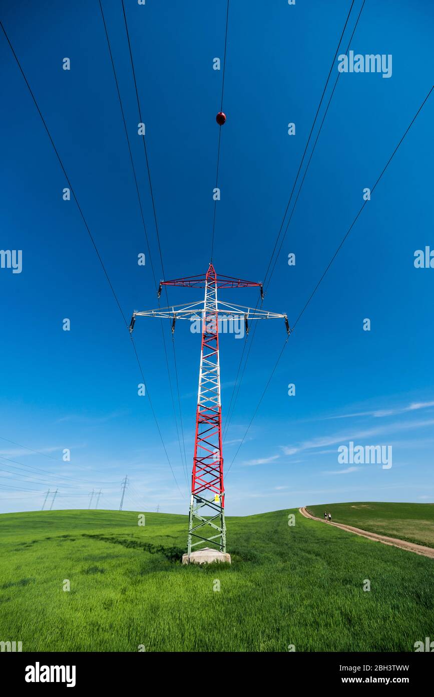 Electric pole in the center of the beautiful green fields, electric pylon, tower Stock Photo - Alamy