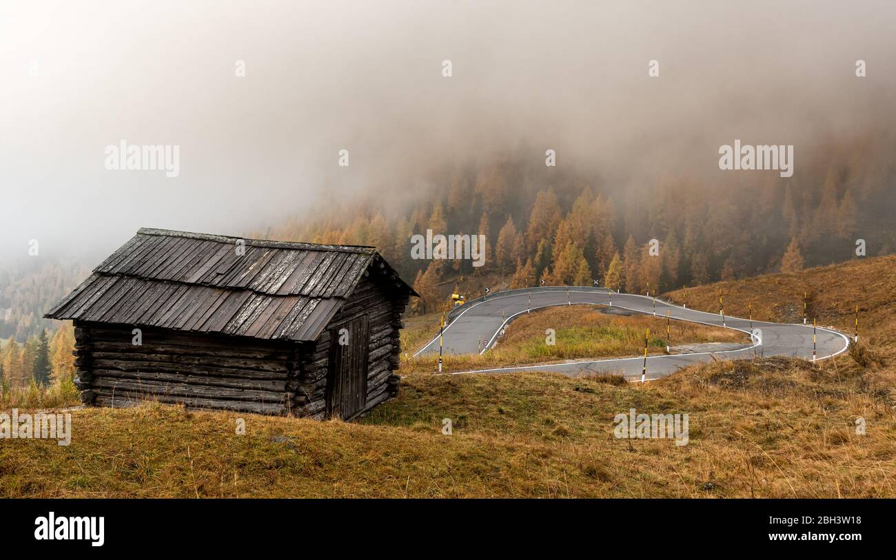 Landscape with beautiful Autumn yellow and green meadow and wooden log ...