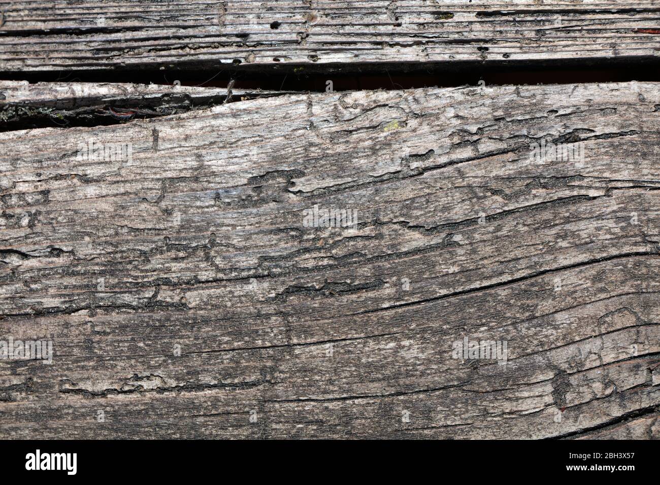 Old wood background template board Stock Photo - Alamy