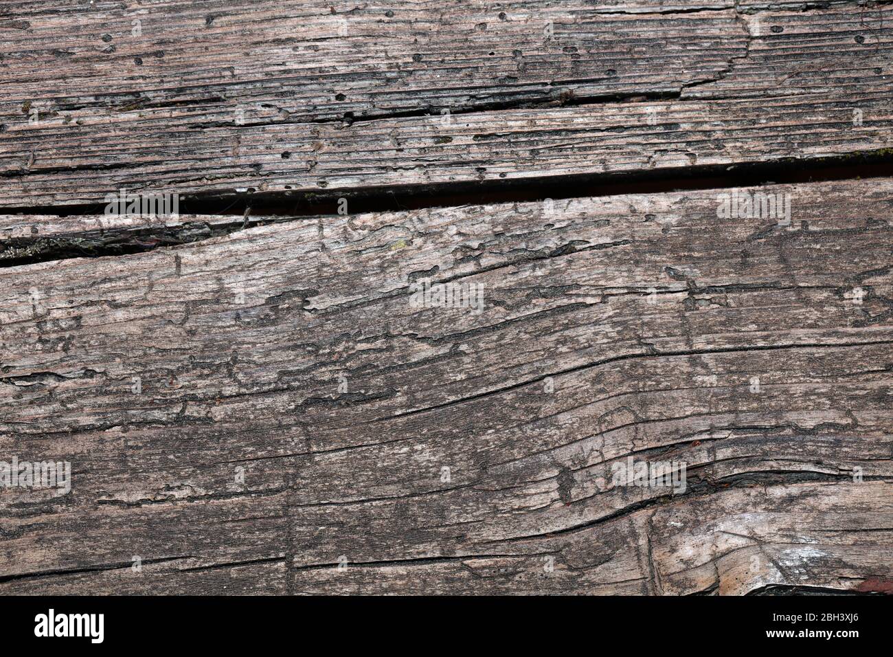 Old wood background template board Stock Photo - Alamy