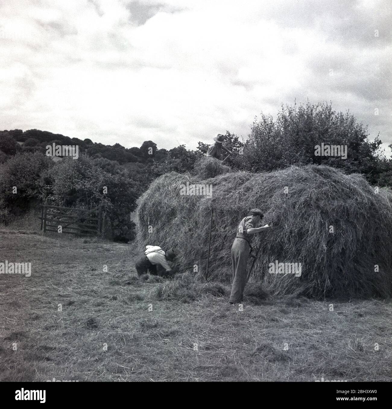 Farm Workers 1930s High Resolution Stock Photography and Images - Alamy