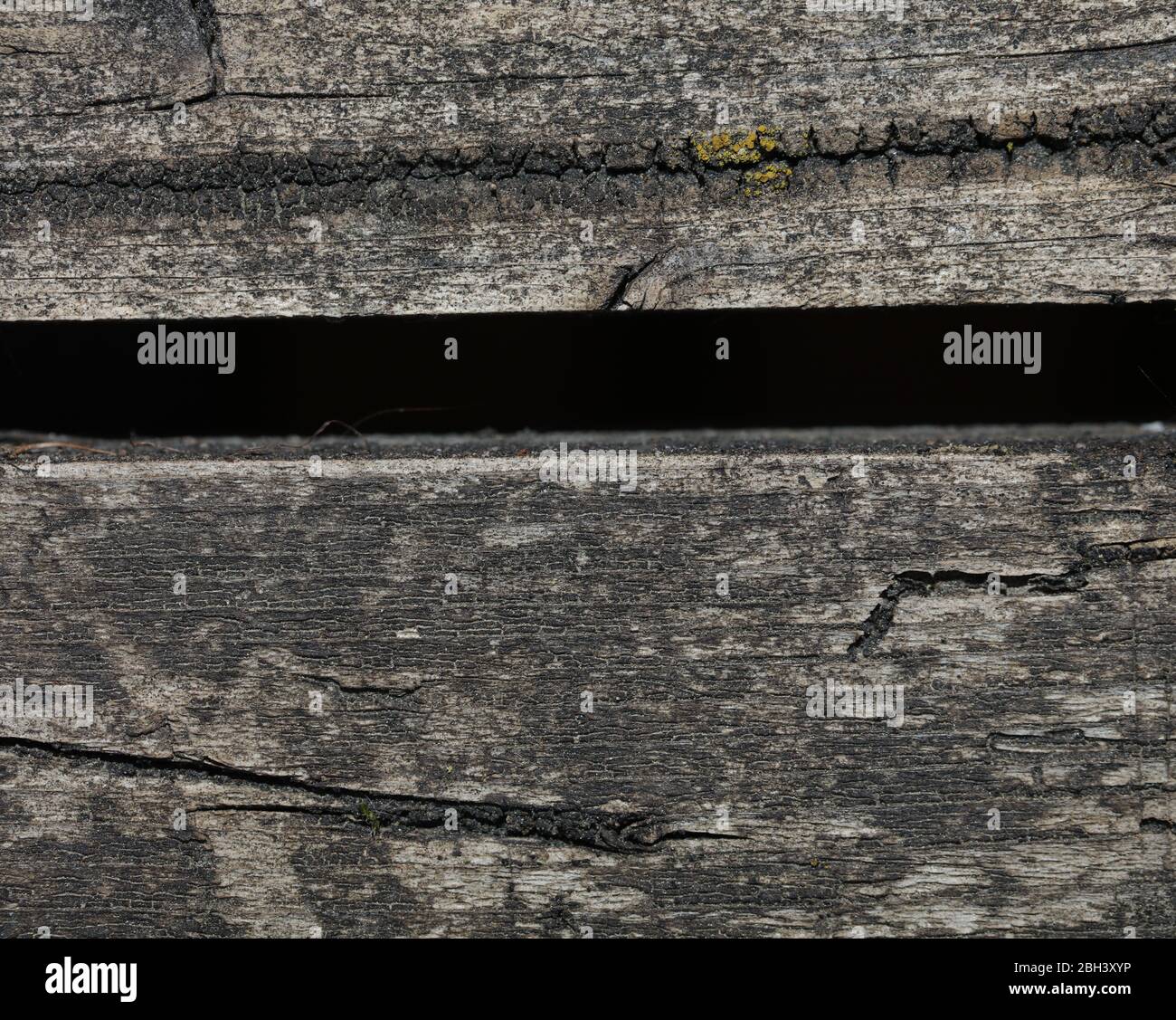 Old wood background template board Stock Photo - Alamy