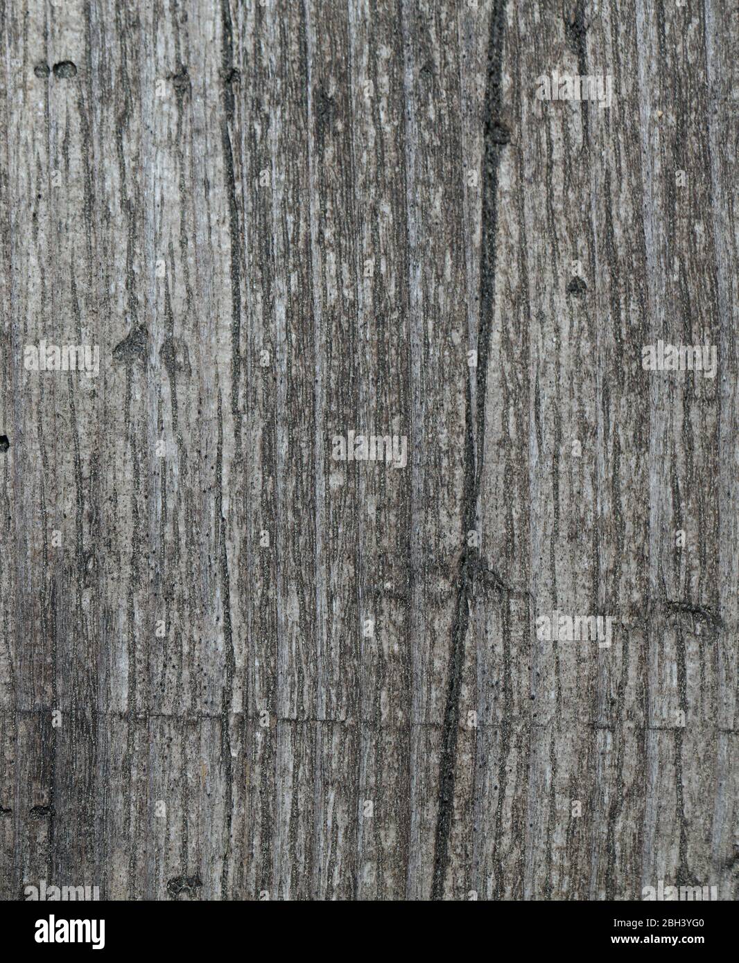 Old wood background template board Stock Photo - Alamy