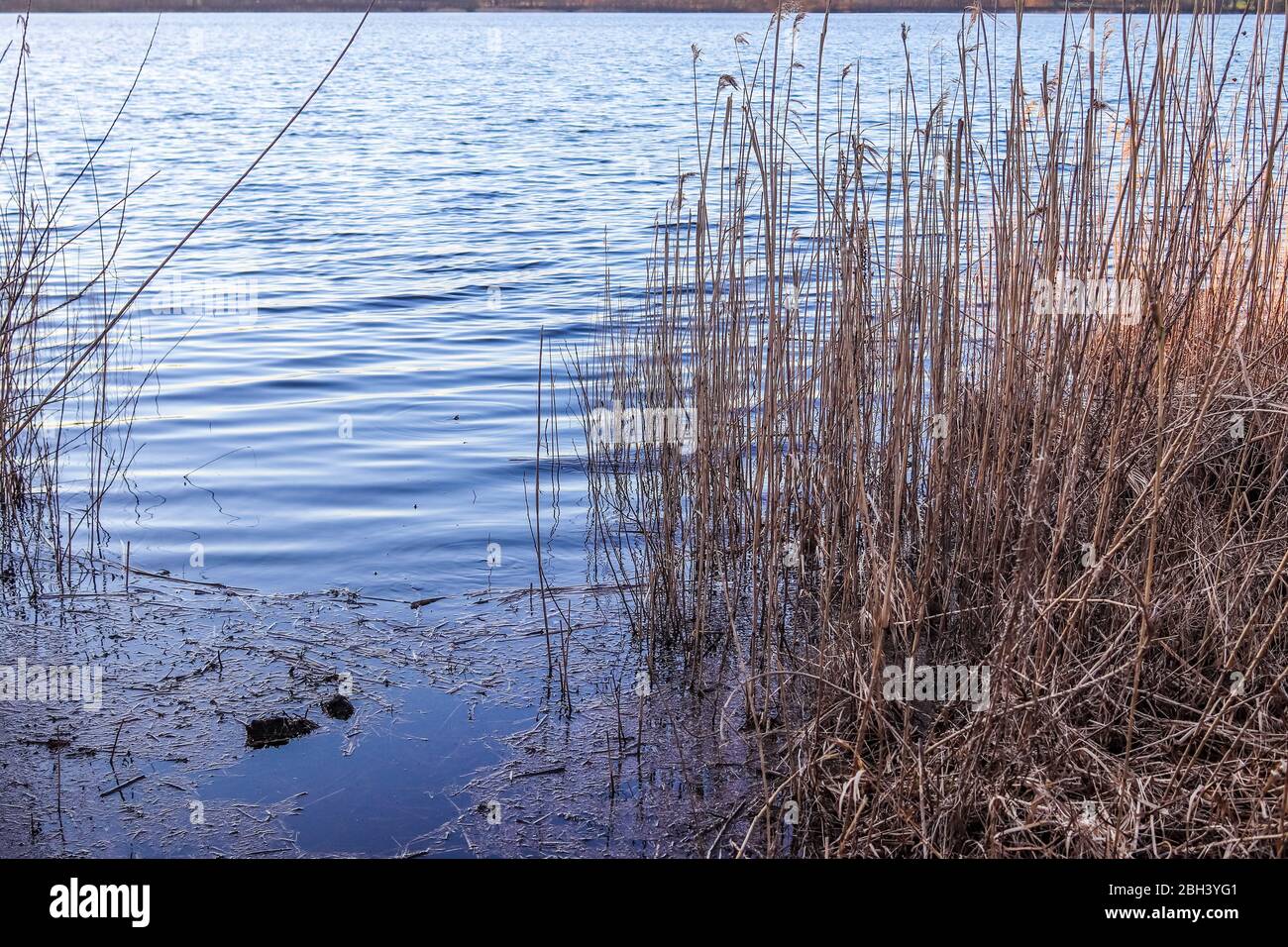 Beautiful landscape at a lake with a reflective water surface Stock ...