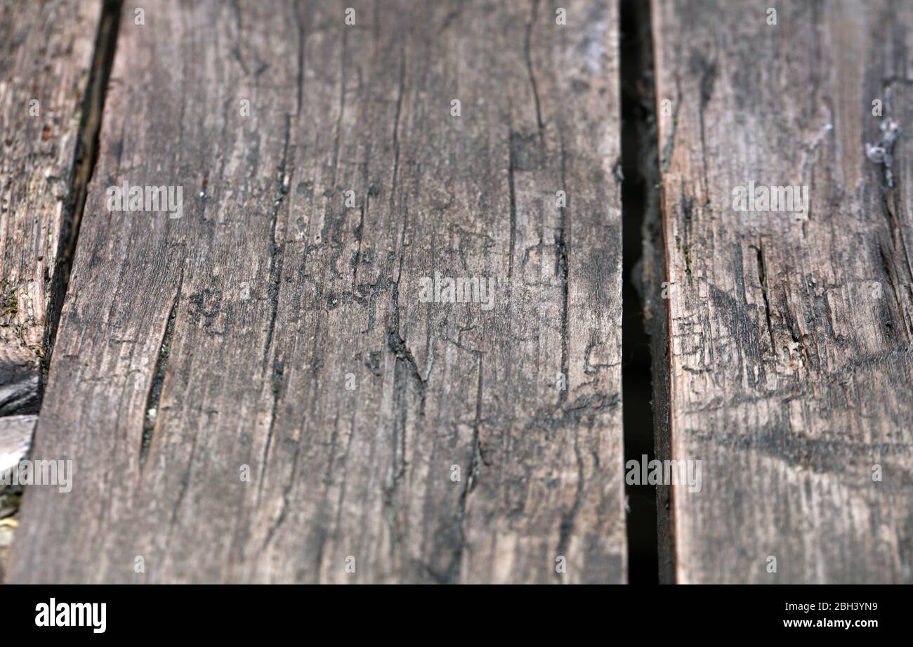 Old wood background template board Stock Photo - Alamy