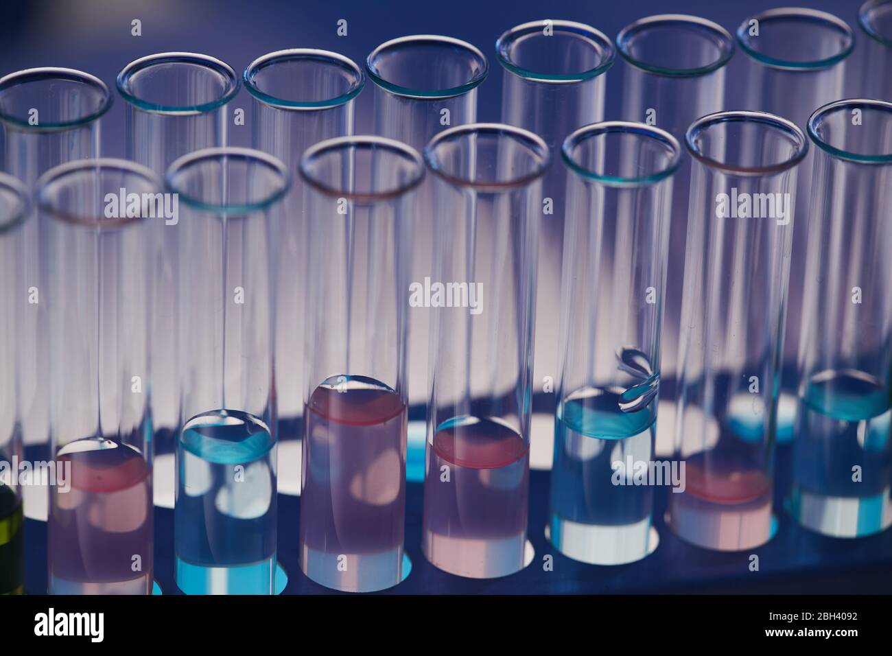 Close-up of glass tubes with colored liquid inside of them in the ...