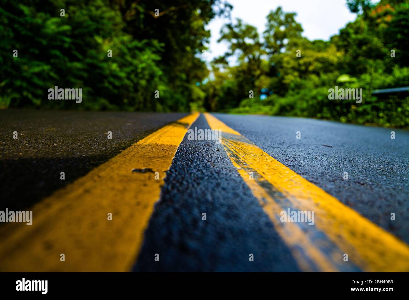 Road Perspective in Hawaii Stock Photo - Alamy