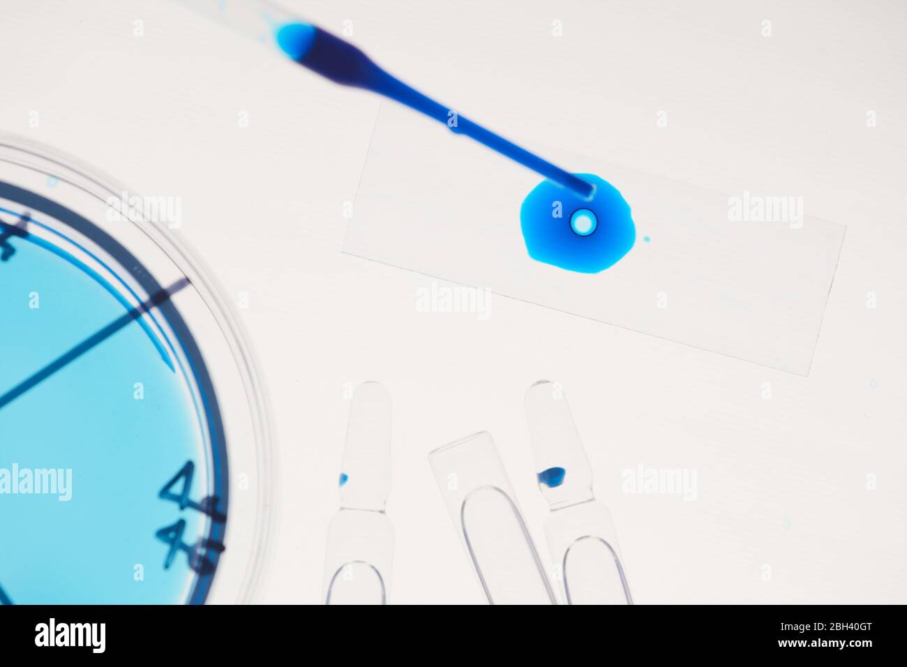 Close-up of tube with blue samples it's medical exam in the lab Stock ...