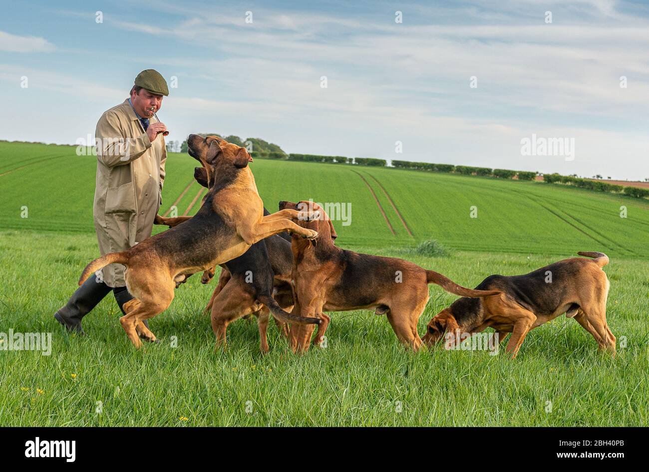 Temple Bruer, Lincoln, Lincolnshire, UK. 23rd April 2020. Mr Frank ...