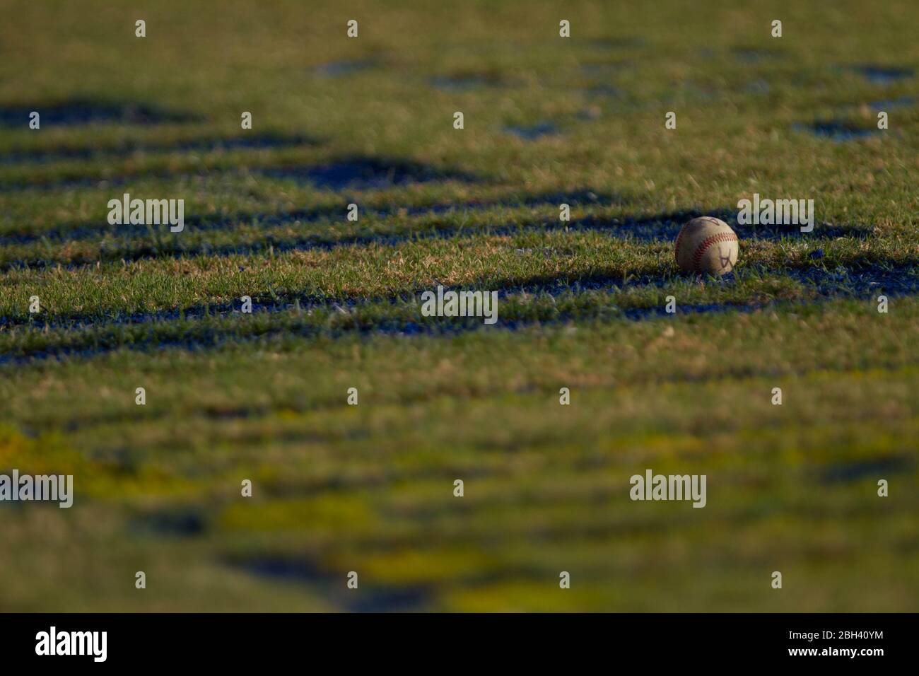 Baseball ball, baseball, Ball, MLB, pelota, pelota de beisbol. Major ...