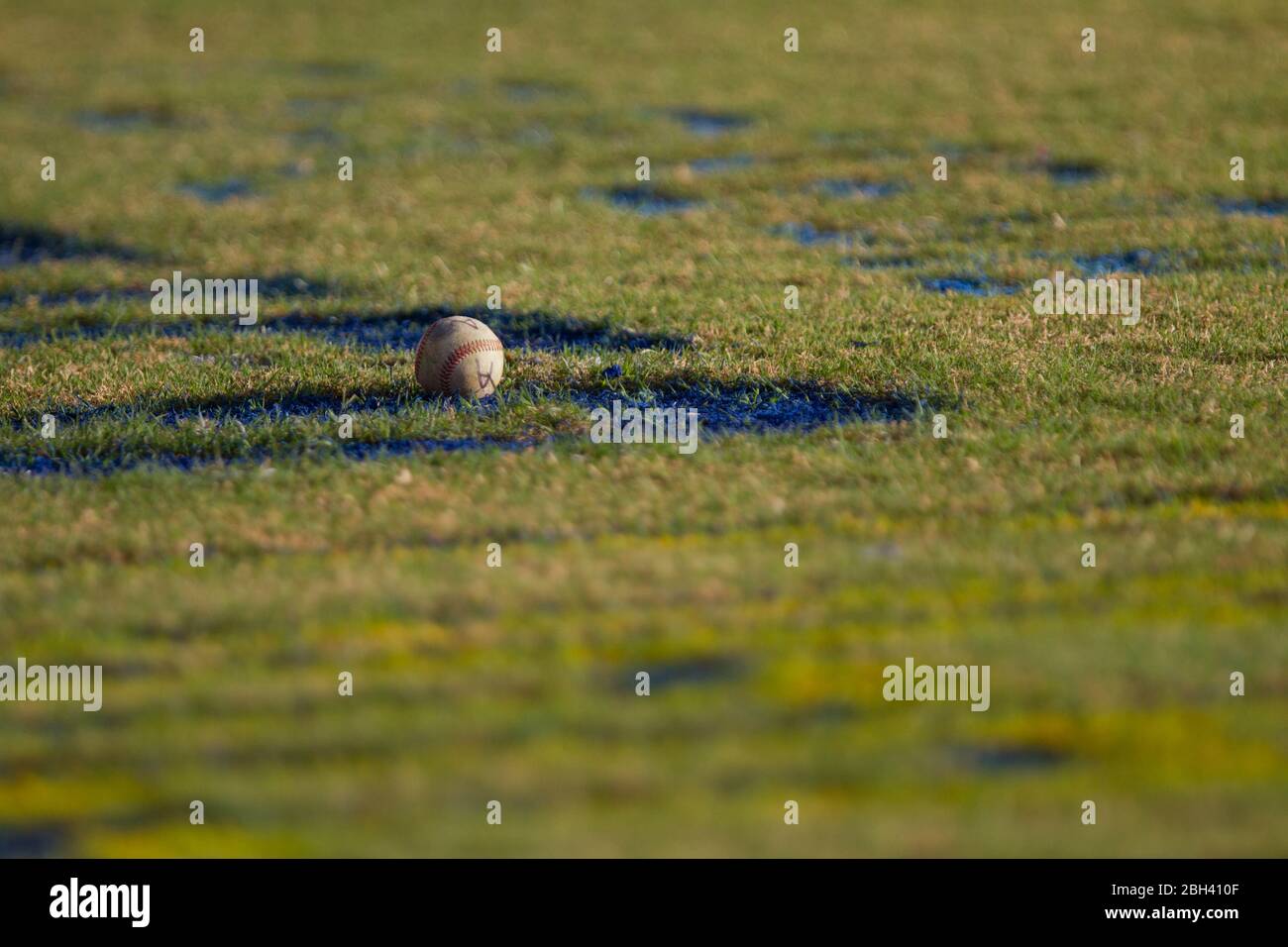 Baseball ball, baseball, Ball, MLB, pelota, pelota de beisbol. Major ...