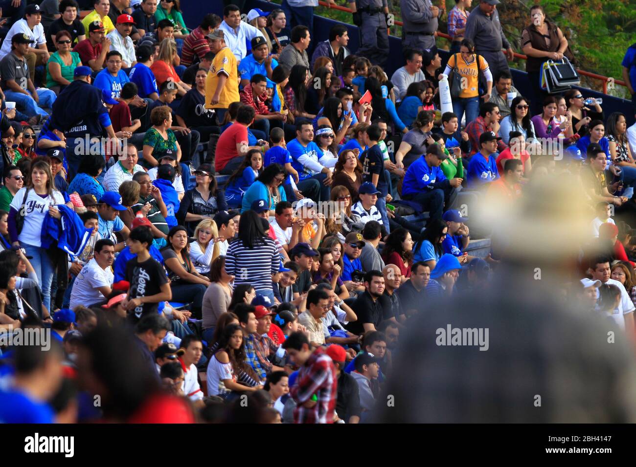 Gradas de estadio beisbol hi-res stock photography and images - Alamy