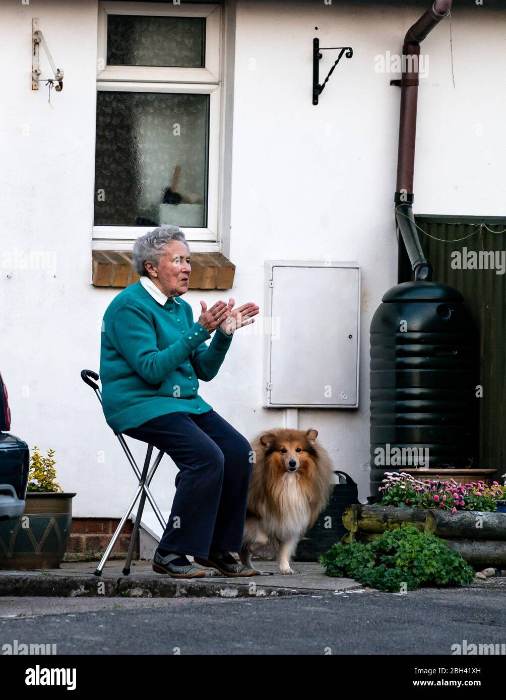 Clapping dog hi-res stock photography and images - Alamy