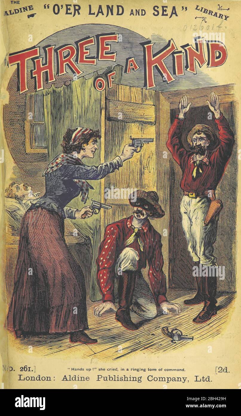 Victorian book cover page Stock Photo - Alamy