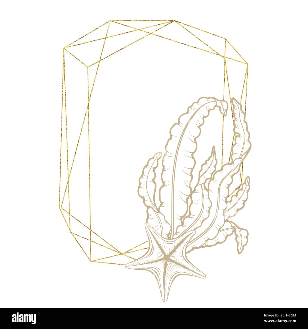 Seashell seaweed sketch in gold geometric line frame, vector wreath ...