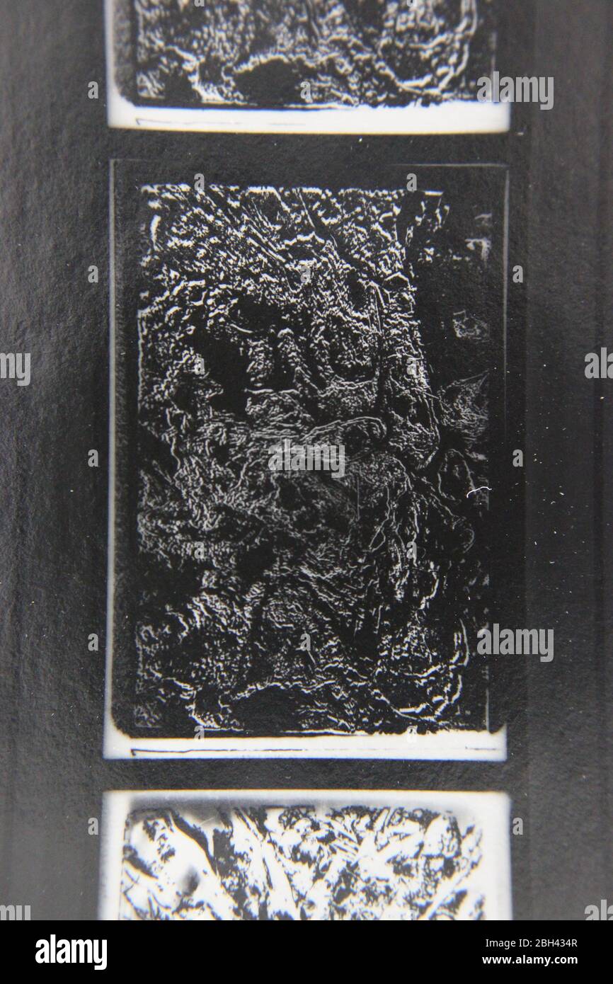 Fine 70s vintage extreme high contrast contact print photography of a ...