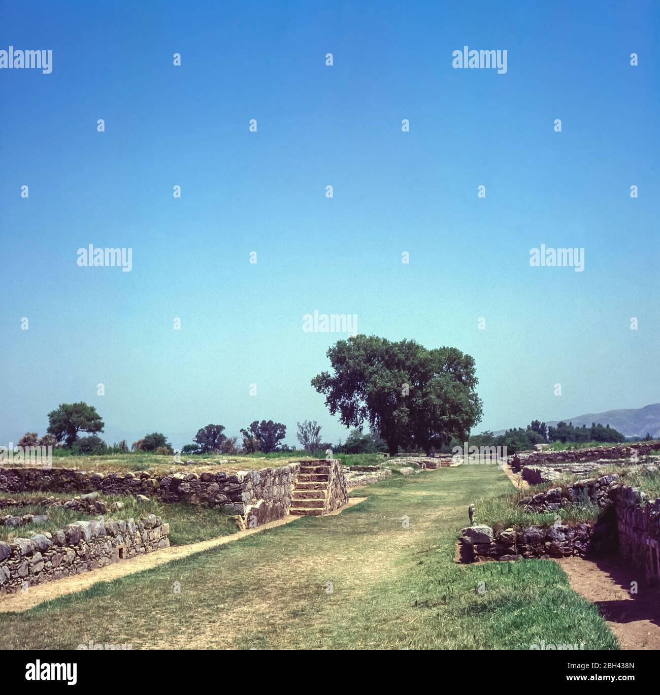 Pakistan, Ruins and remains of what was the main street att he UNESCO ...