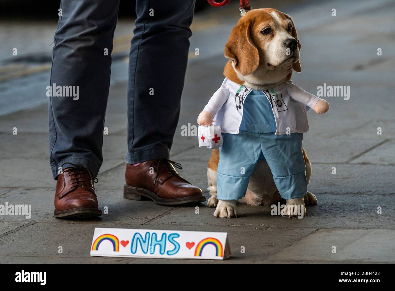 Clapping dog hi-res stock photography and images - Alamy